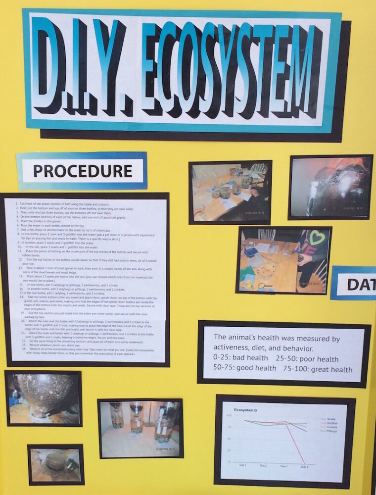 PEEC’s 2017 Science Fair Award Recipients – Pajarito Environmental ...