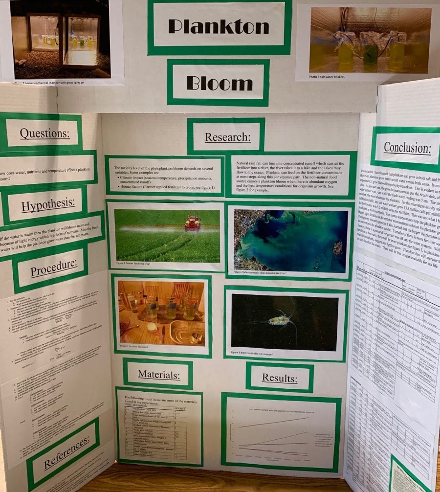 PEEC’s 2020 Science Fair Award Recipients – Pajarito Environmental ...