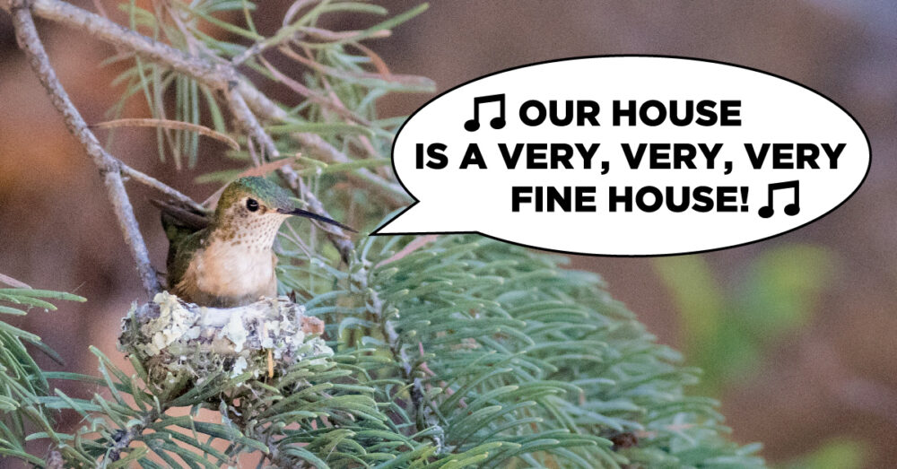 Day 3: Bird Habitats – Pajarito Environmental Education Center