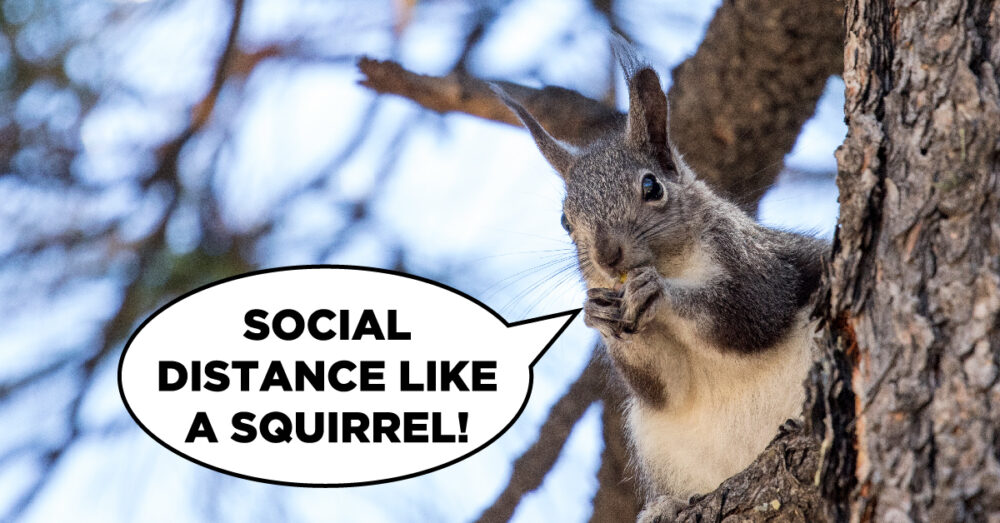 Week 3, Day 1: Squirrels – Pajarito Environmental Education Center