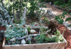 Connecting With Nature Through a Sensory Garden – Pajarito ...