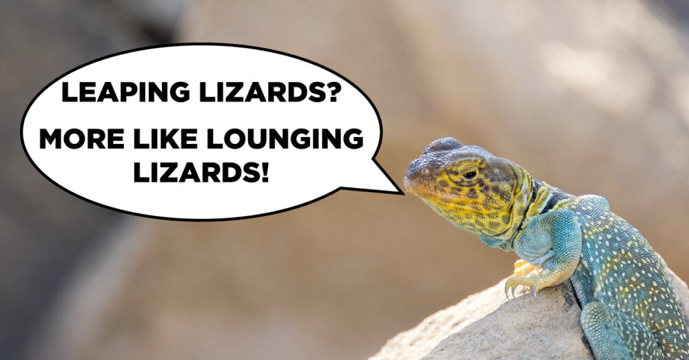 Week 3, Day 5: Native Reptiles & Amphibians – Pajarito Environmental ...