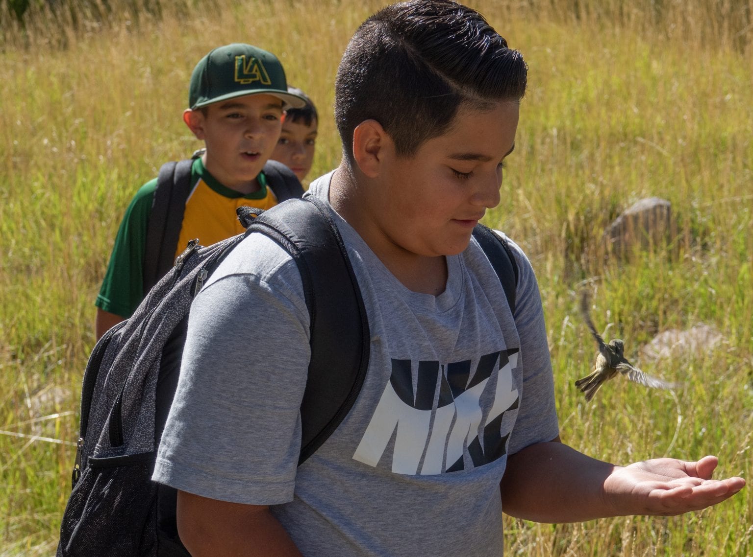 Virtual Field Trip: Bird Banding – Pajarito Environmental Education Center