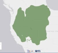 Cottontails (Desert and Mountain) – Pajarito Environmental Education Center