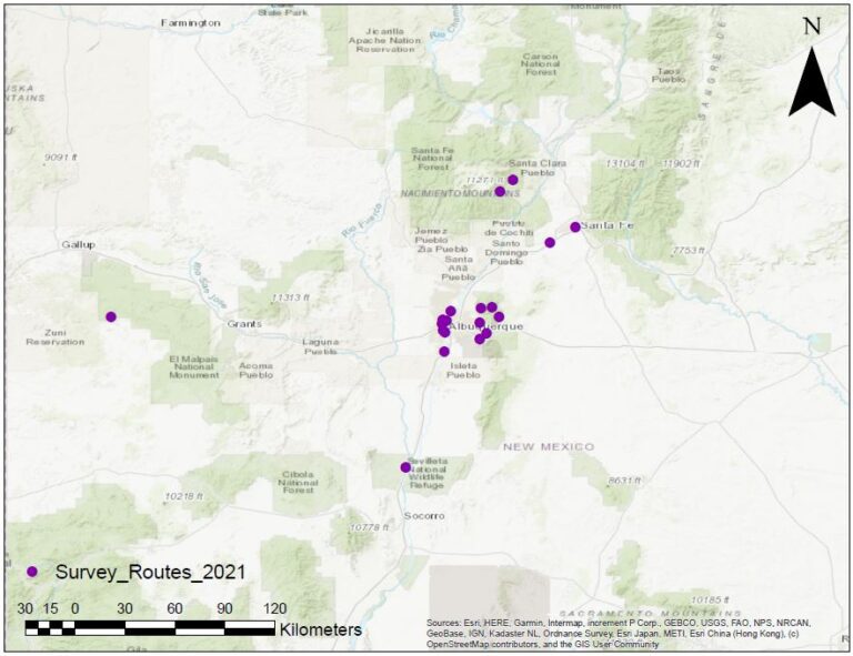 New Mexico Butterfly Monitoring Network Update – Pajarito Environmental ...