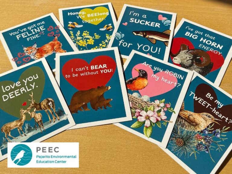 Share the Love of Nature with Free Printable Valentine’s Day Cards from ...