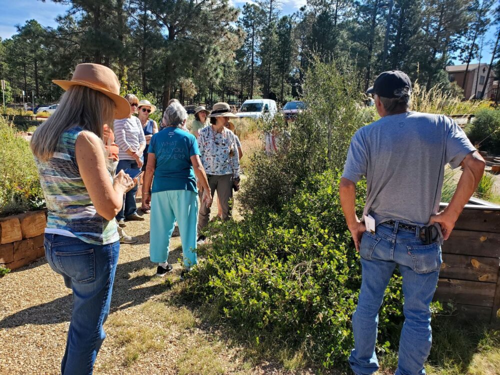 Enhance your Pollinator Garden with a Seed Library Event – Pajarito ...